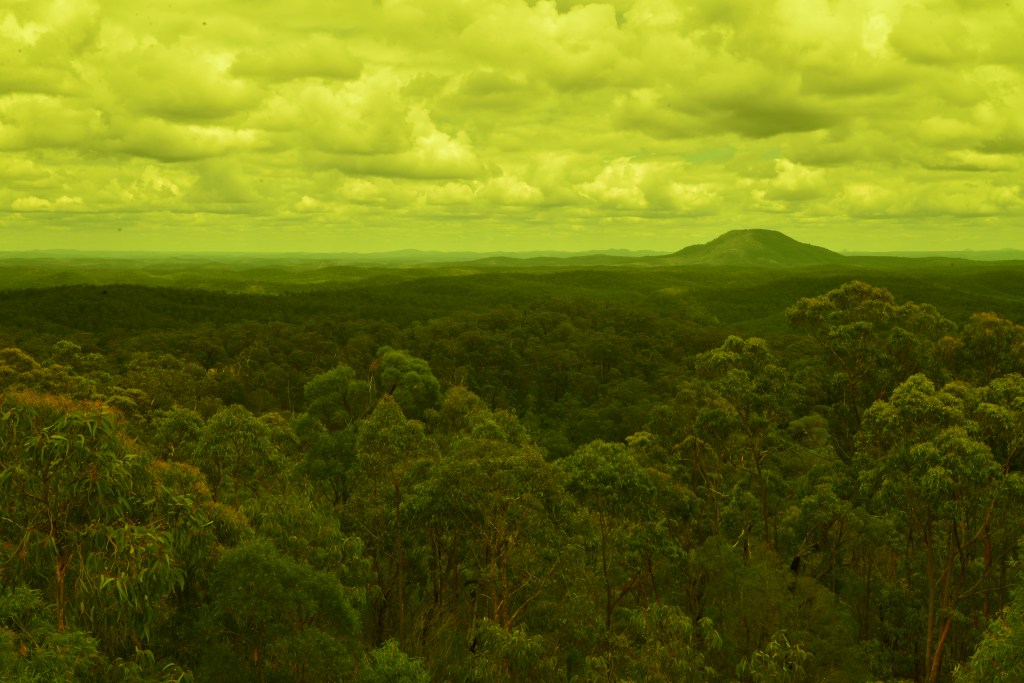 Living Works Of Art (In the Australian Bush) – Xplore