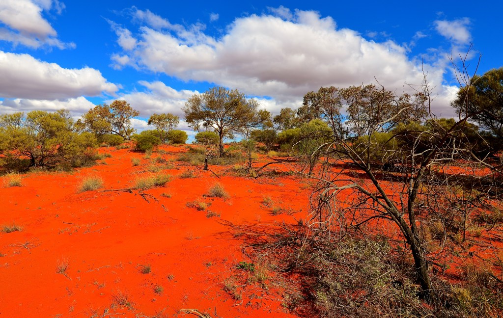 Nature’s Canvas – The Australian Outback – Xplore