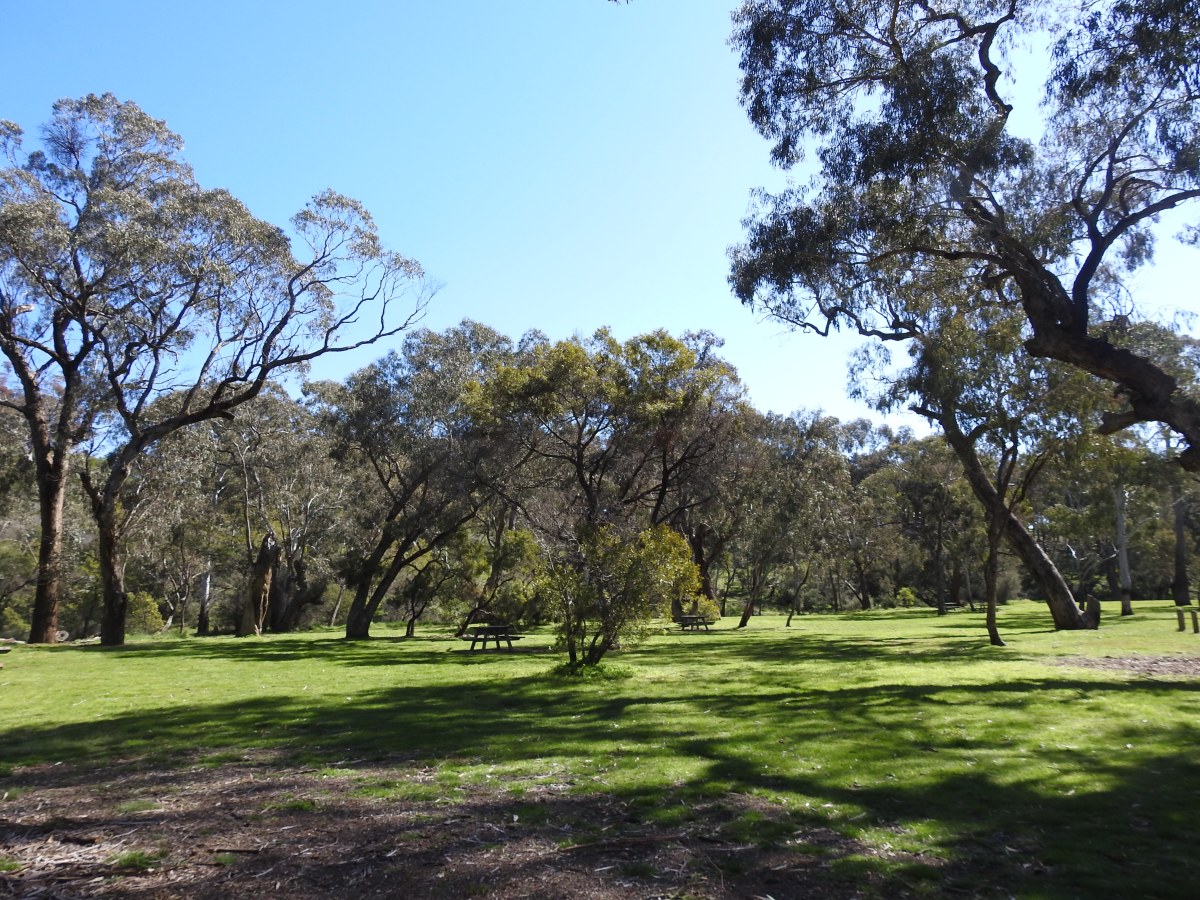 A Birthing Suite, in the Australian Bush… – Xplore